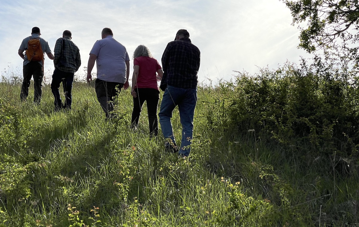 Lupine Meadows: Protected for the future - Philomath News
