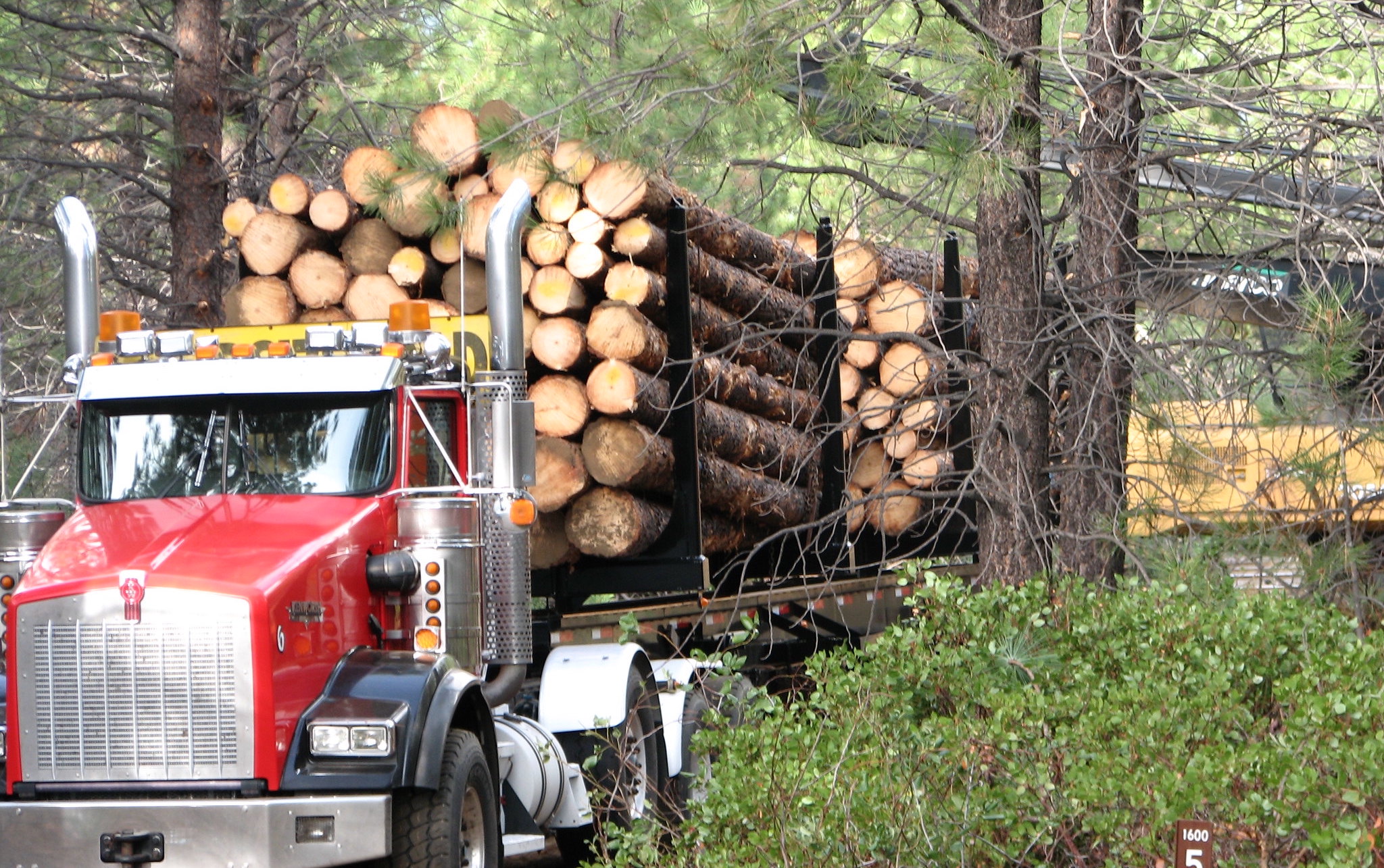 Lawsuit by 13 counties against state over logging practices ends at ...