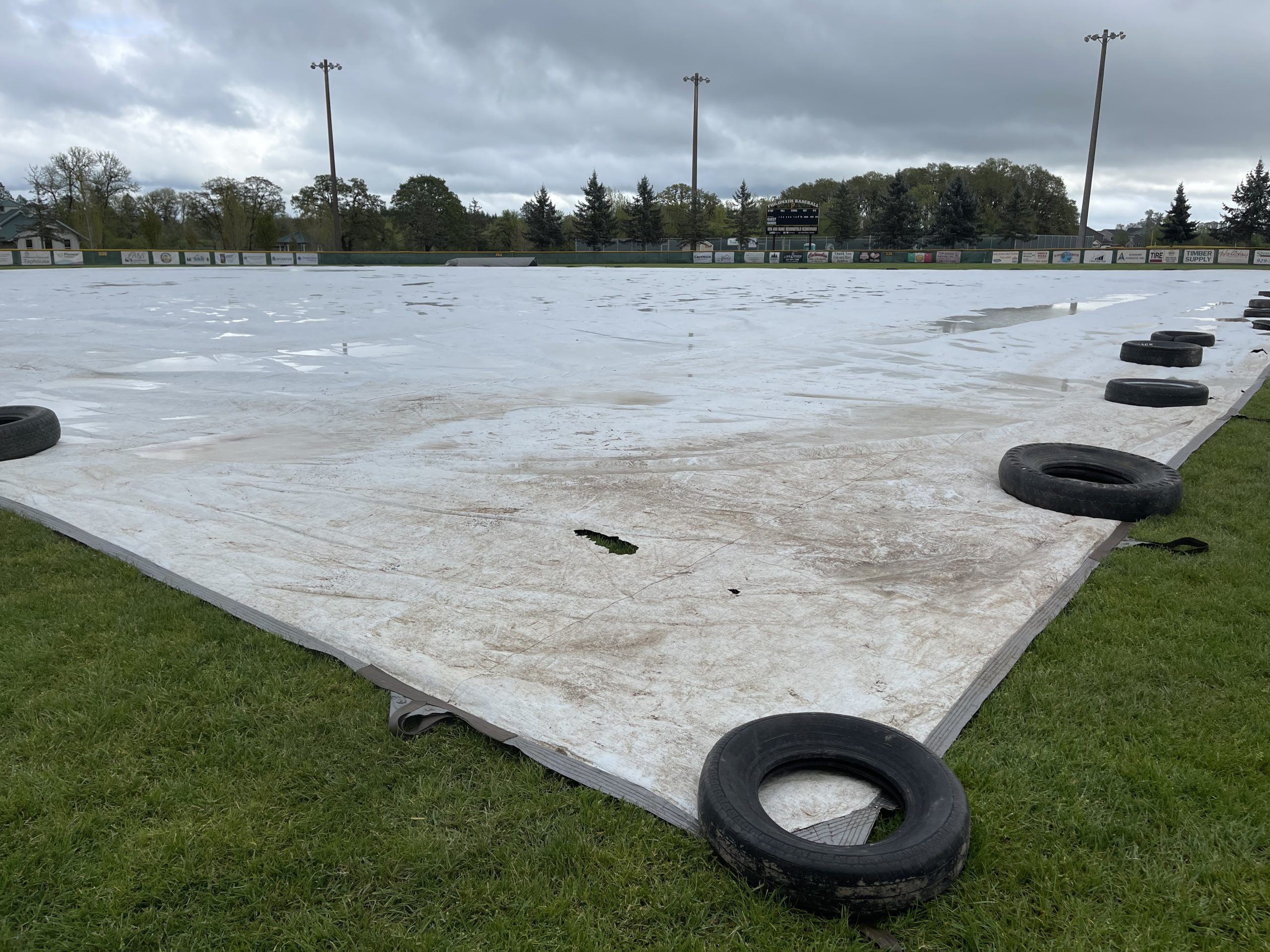 Effort to upgrade baseball, softball fields takes shape - Philomath News