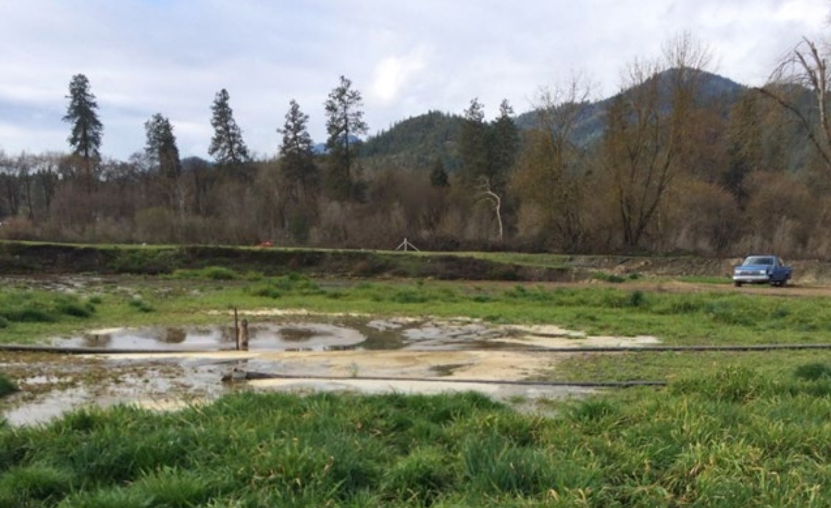 Oregon dairy pleads guilty to federal charges for 2019 illegal manure ...