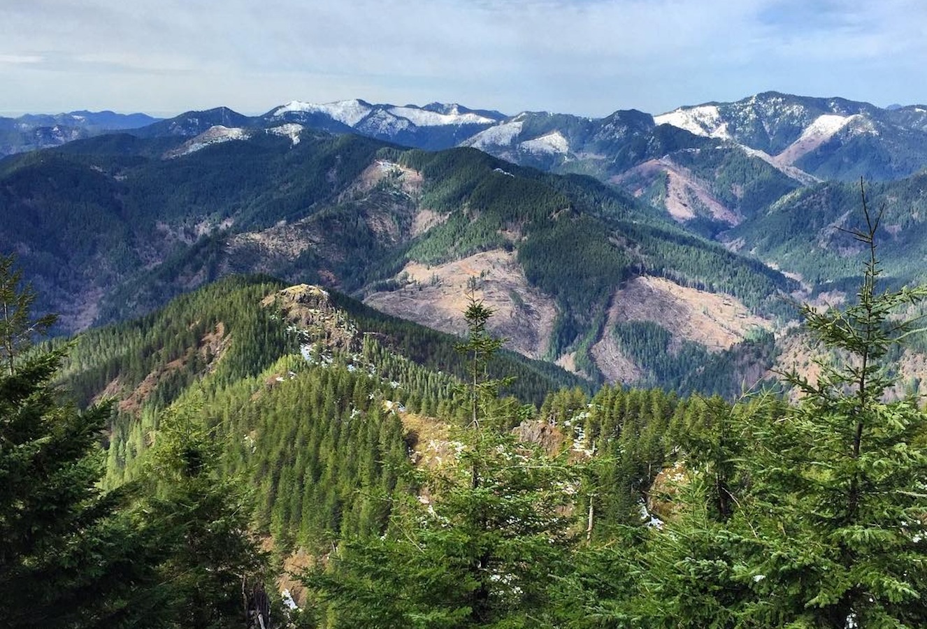 Plan to protect threatened and endangered species in Western state ...