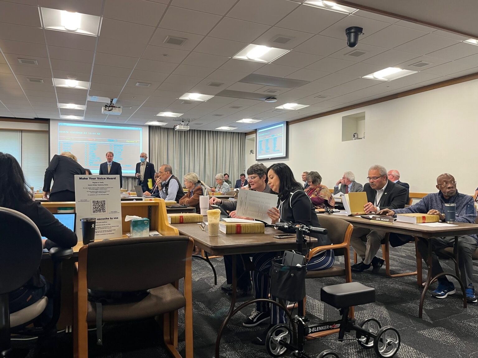 Oregon Senate confirms new education superintendent, dozens more ...