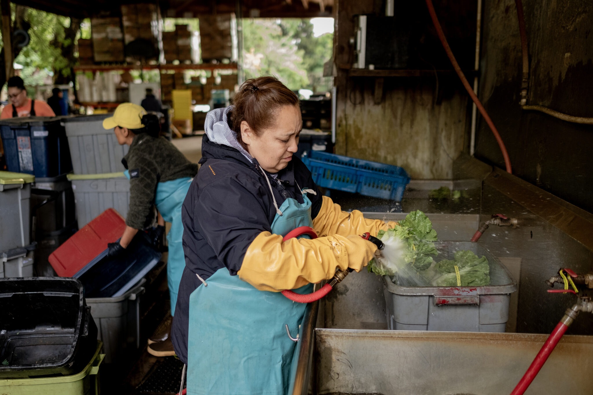 Demand for food spikes in past year as many Oregonians struggle with ...