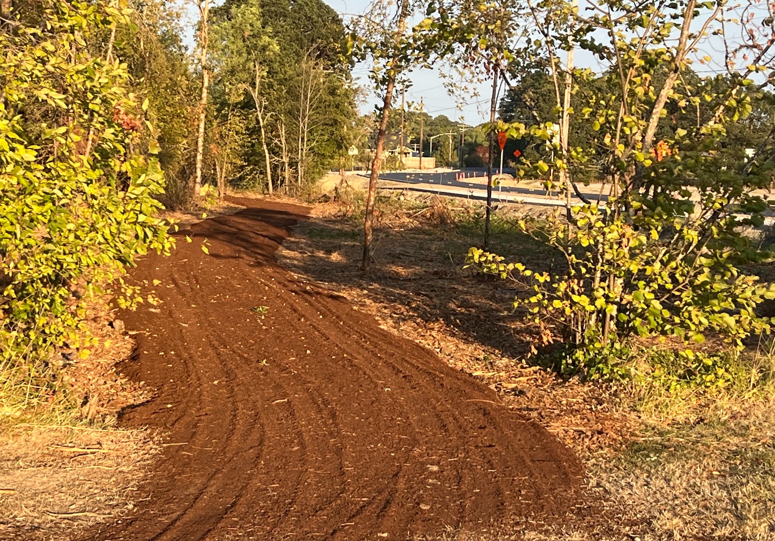 Cross-country course rebuild chosen as top story of the year ...