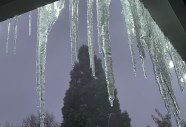National Weather Service Issues Ice Storm Warning Philomath News National Weather Service Issues Ice Storm Warning Philomath News