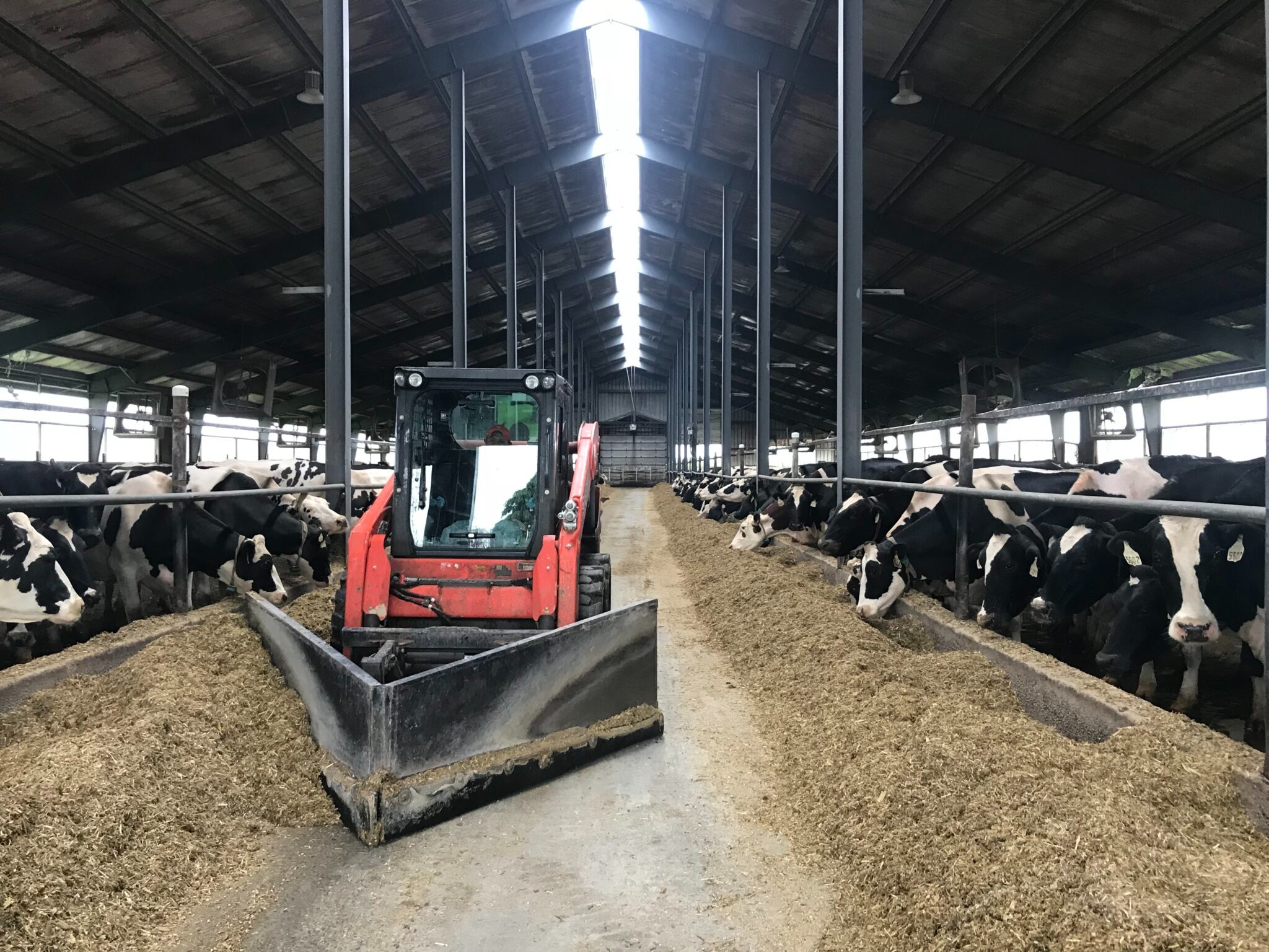 Farm, dairy consolidation on the rise in Oregon and nation USDA census ...