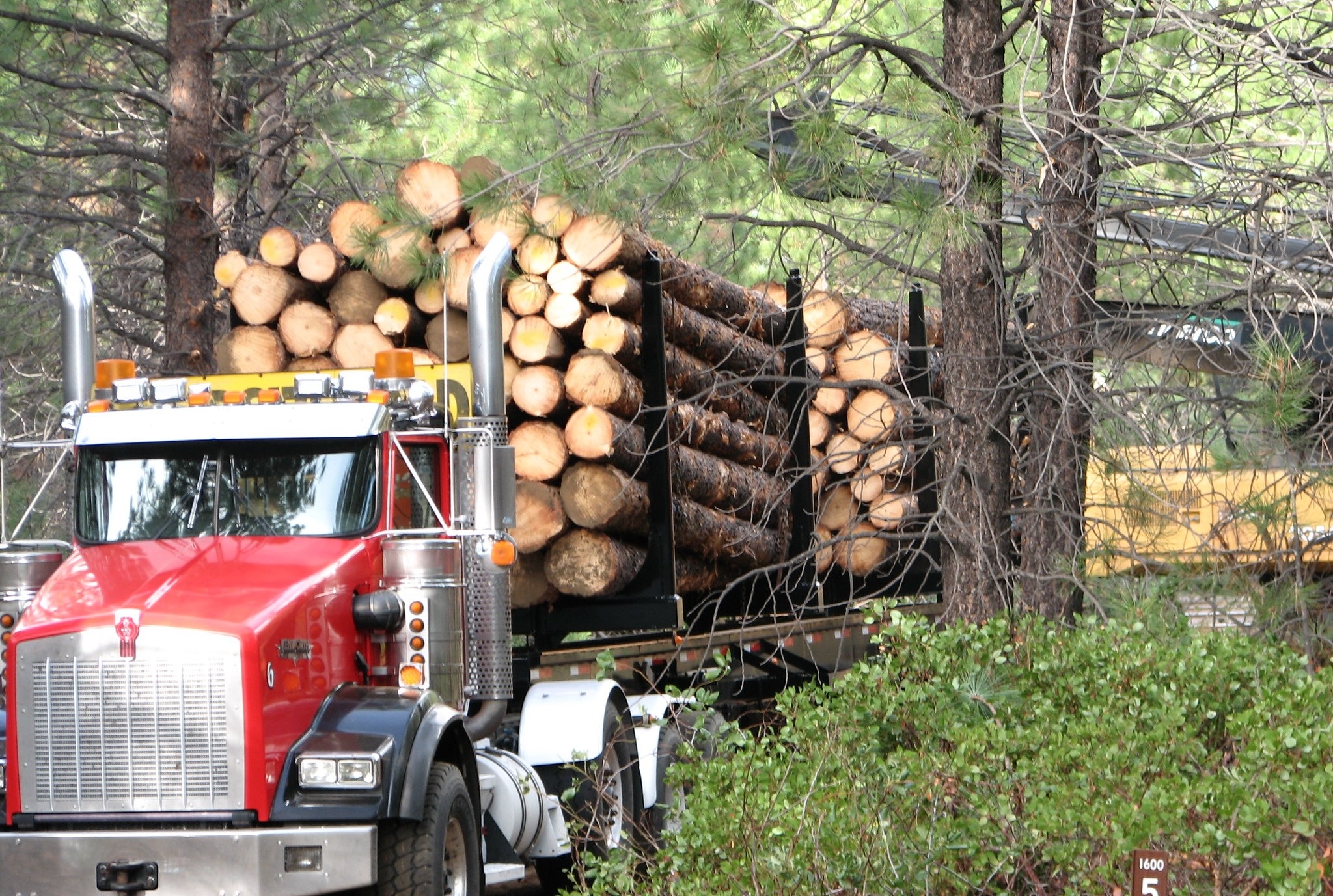 School district slated to lose timber revenue under conservation plan ...