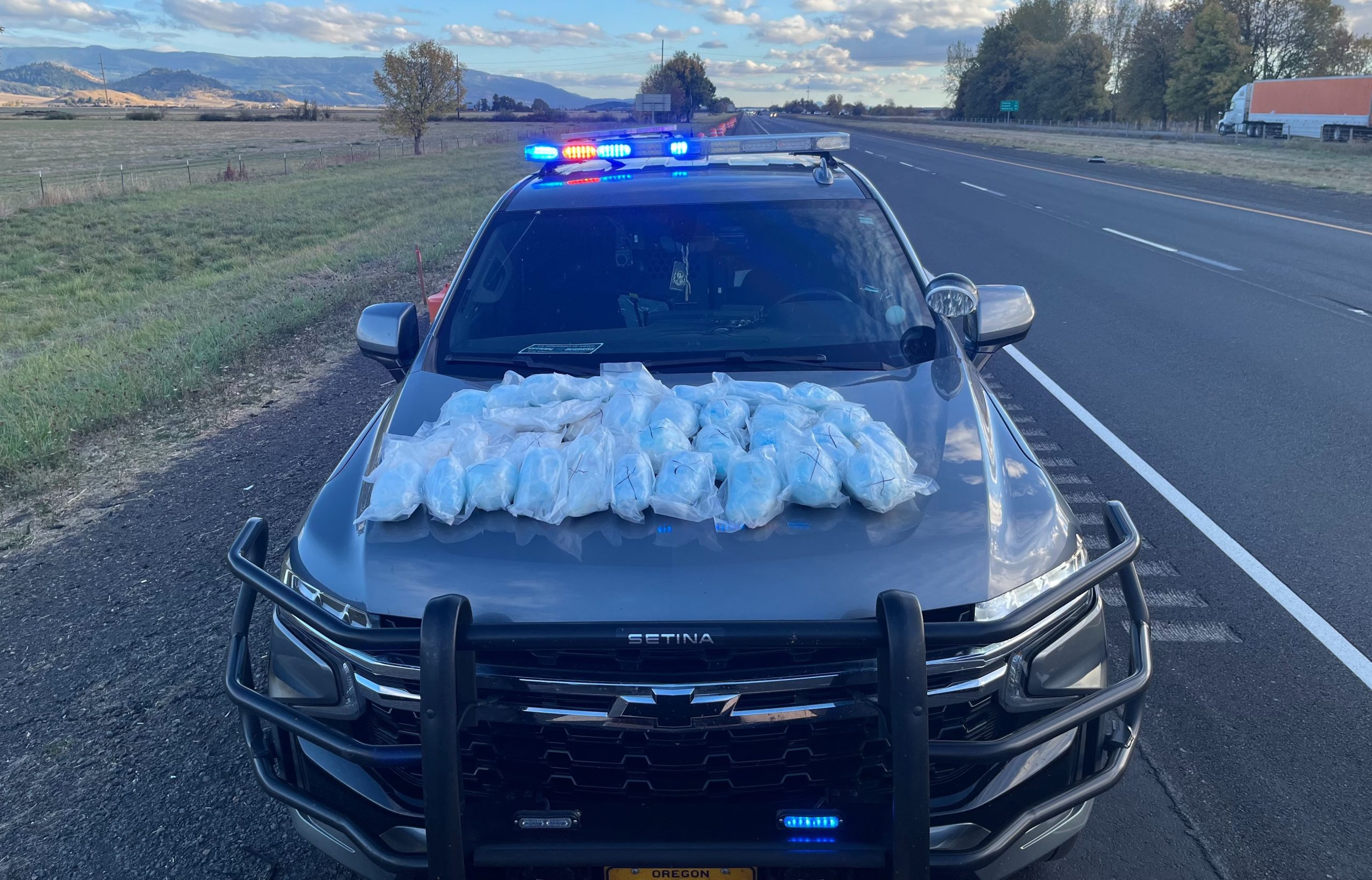 OSP Log: K-9 team seizes 40 pounds of meth during I-5 stop in Linn ...
