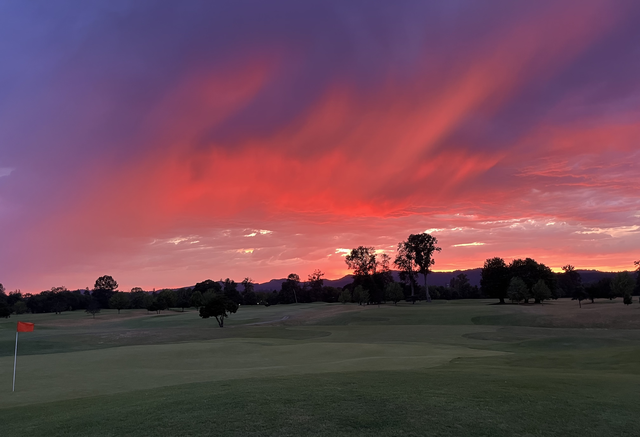 Warrior Watch: New golf program, all-state teams and hoops tournament ...