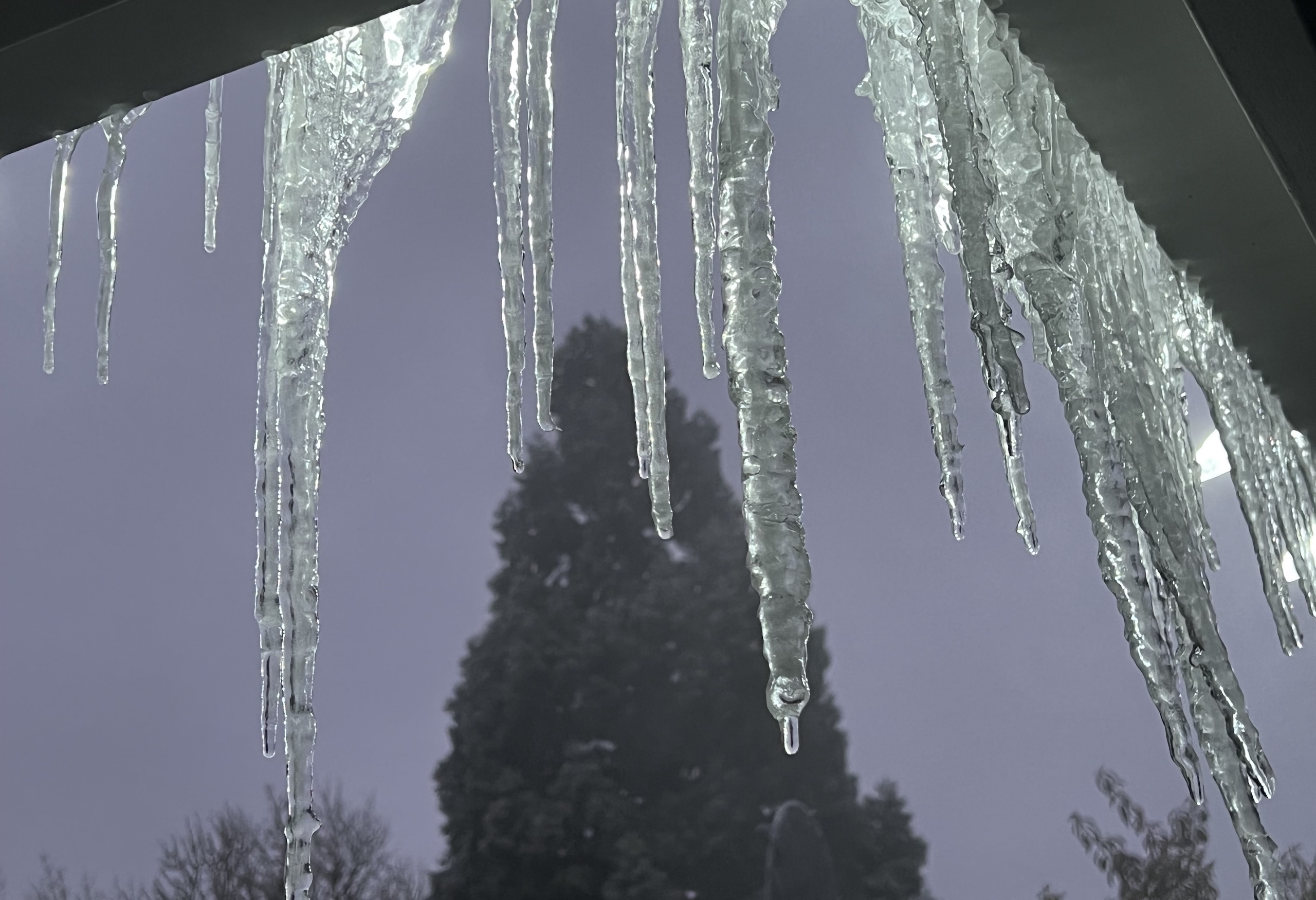 National Weather Service issues ice storm warning - Philomath News