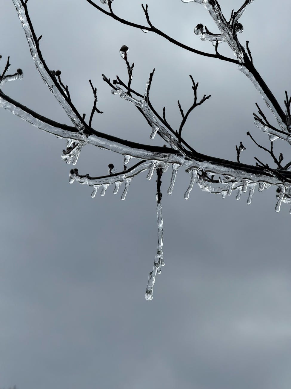 Alert: Snow, ice appear to be on the way - Philomath News