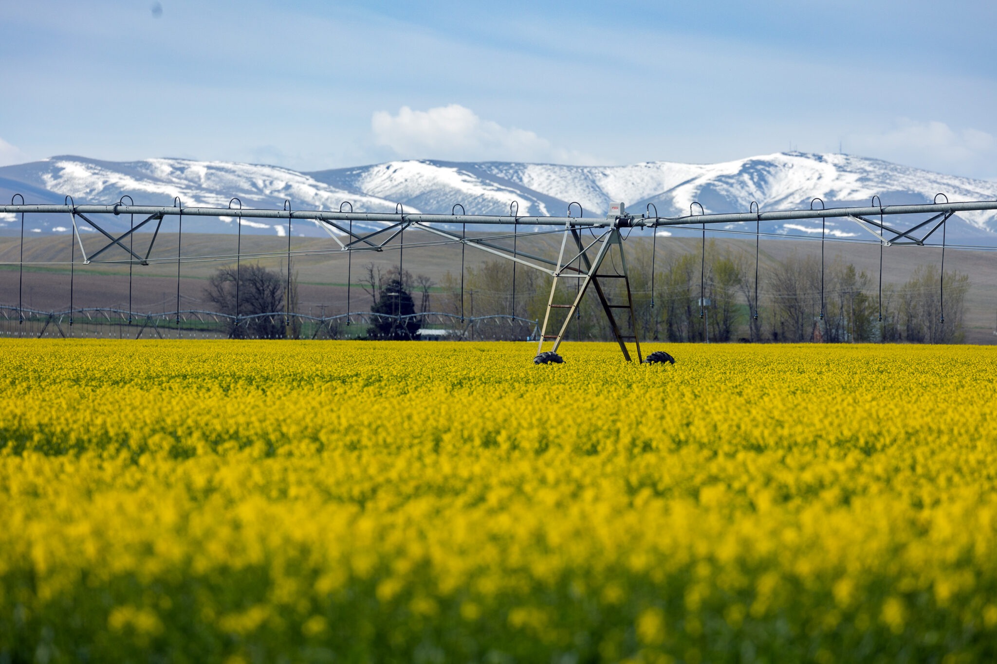 Slate of bills to modernize Oregon water laws await votes in final ...