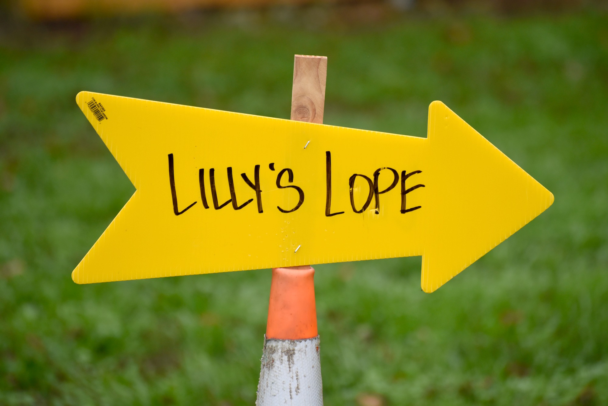 Lilly’s Lope for Hope early registration now open - Philomath News