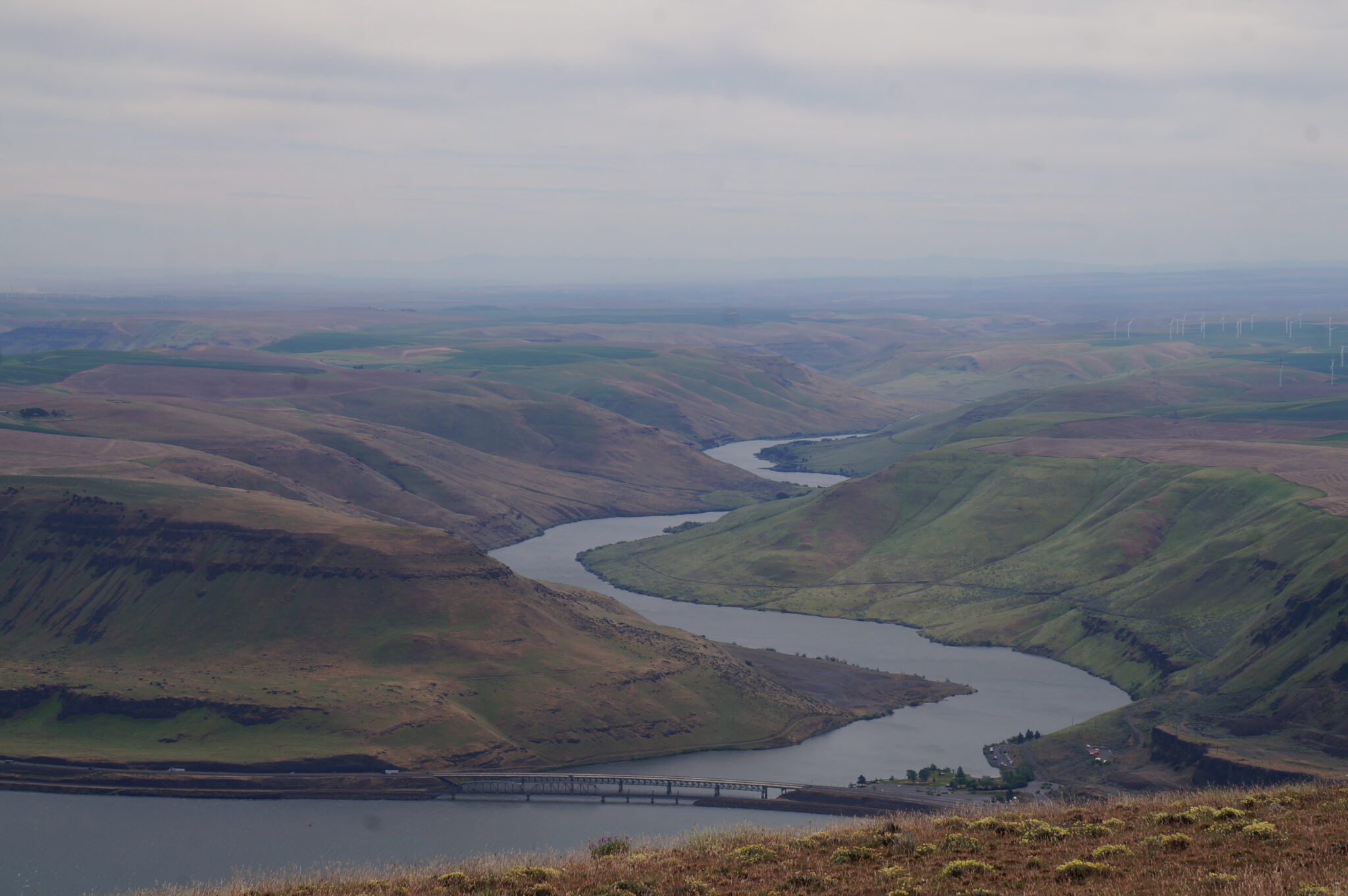 Yakama Nation protests clean energy project on sacred site that could ...
