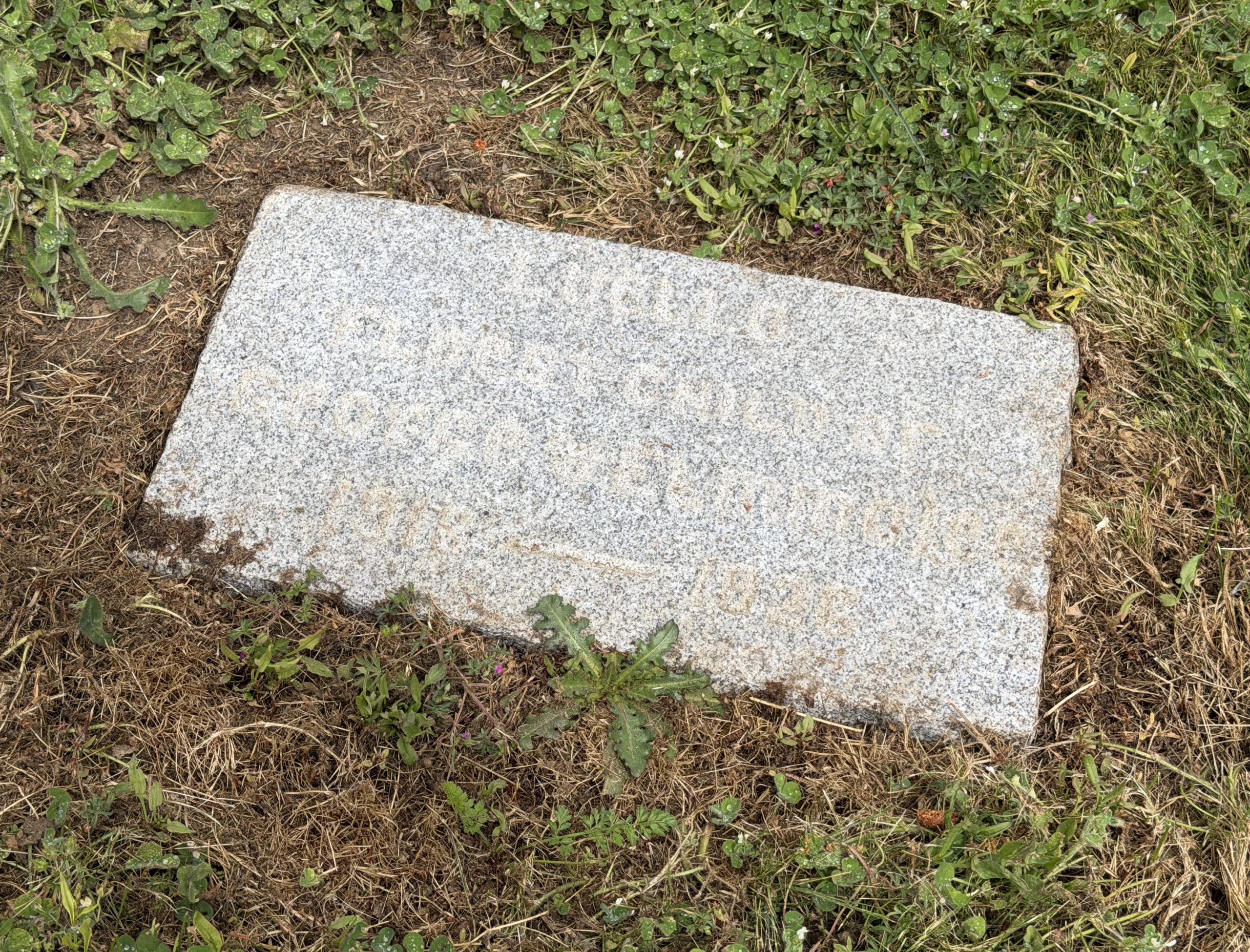 Mount Union Stories: Luella Lee (1918-1926) - Philomath News