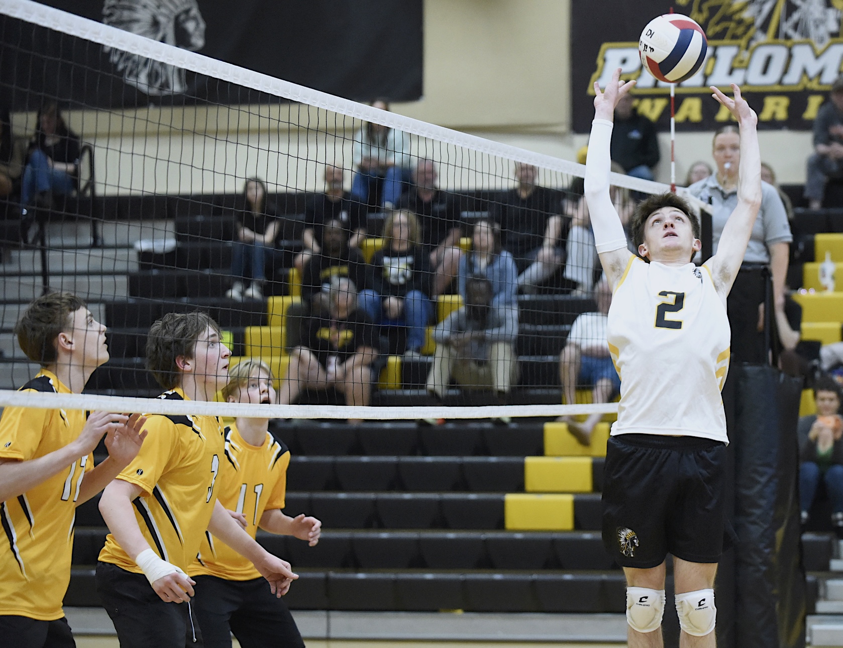 Three Warriors earn Special District 3 honors in boys volleyball ...