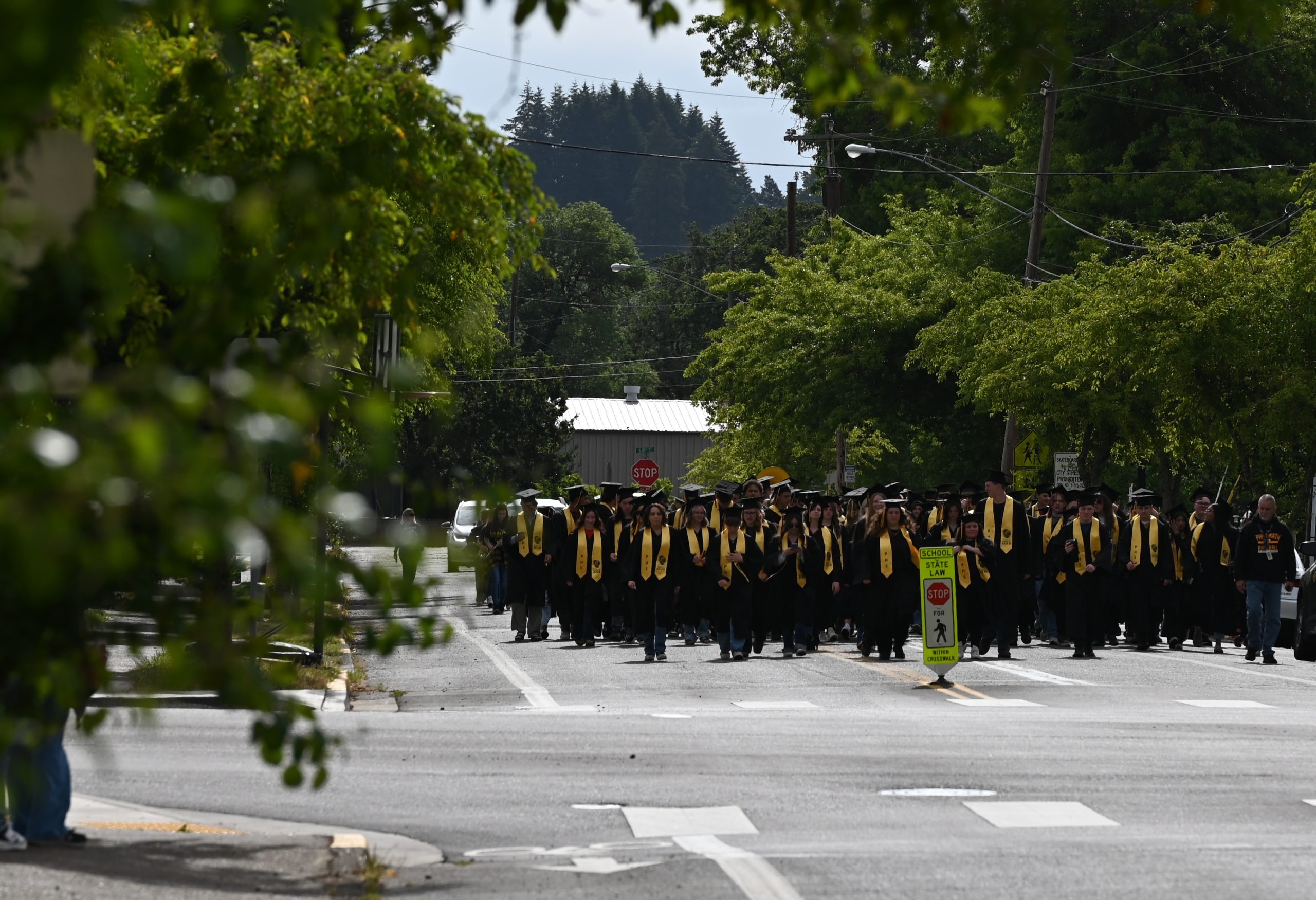 Gallery: PHS Class of 2026 Parade of Graduates (June 5, 2026 ...
